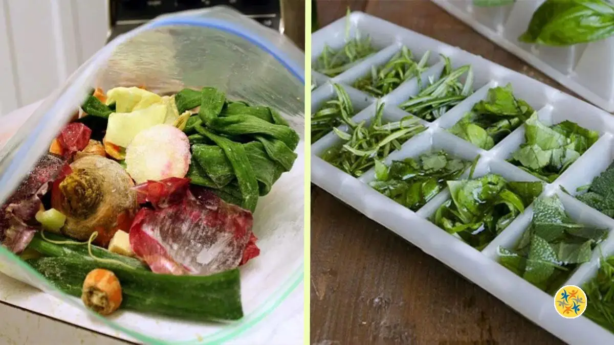 3 Aliments Verts de Saison à Congeler pour l'Hiver