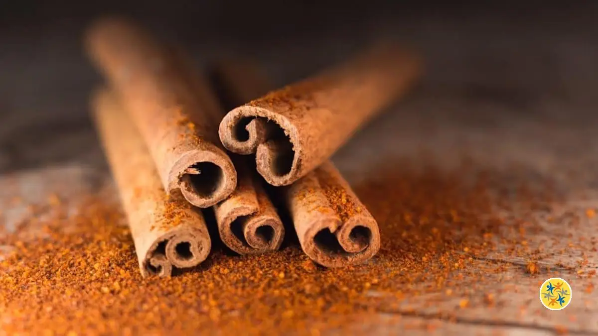 À quoi Sert la Cannelle dans le Jardin et pour l'Assainir