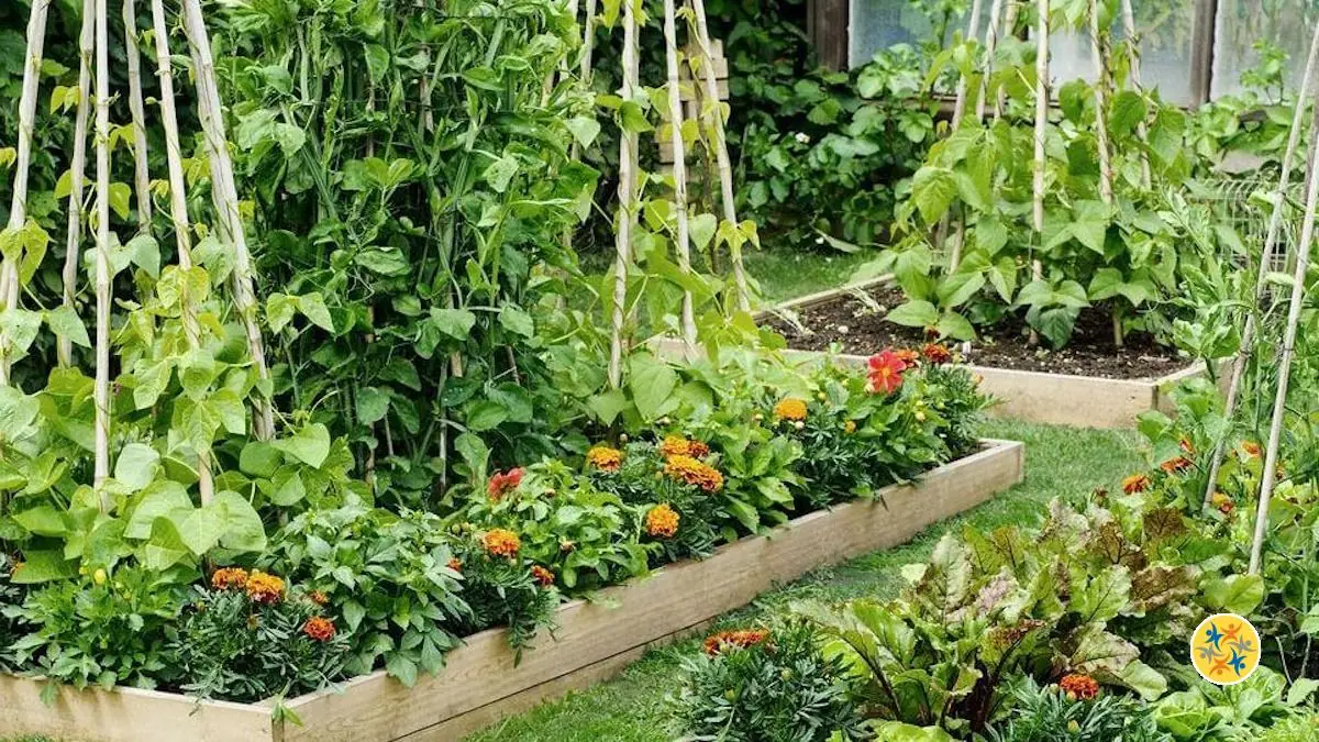 6 Astuces pour Bien Aménager son Petit Jardin et le Rendre Beau