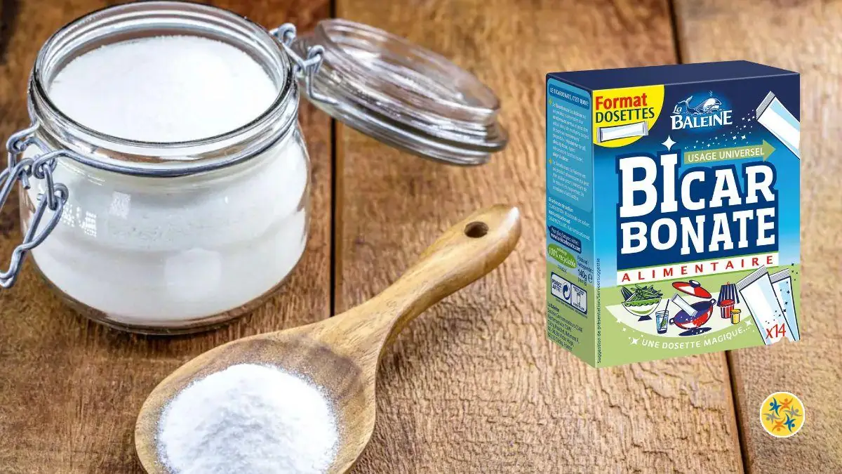 Bicarbonate tous les Jours et pour tout Usage