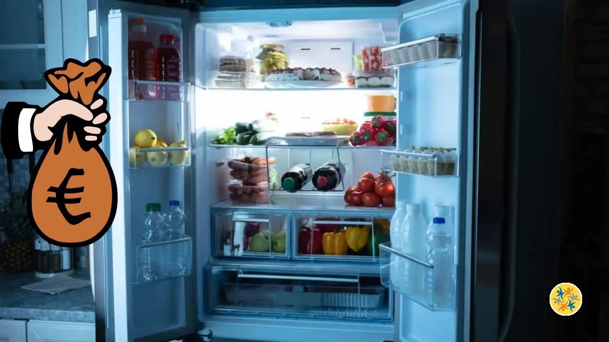 5 Astuces pour Rendre le Frigo moins Énergivore