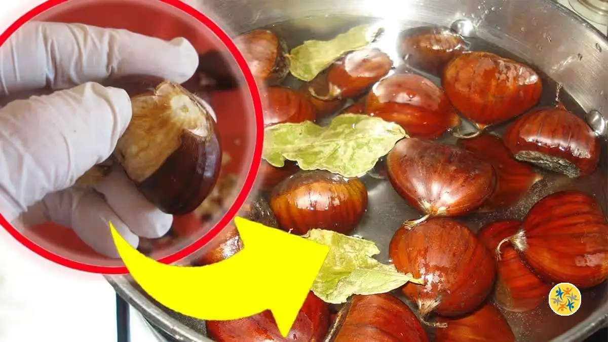 Comment Peler des Châtaignes Rapidement et sans Four?