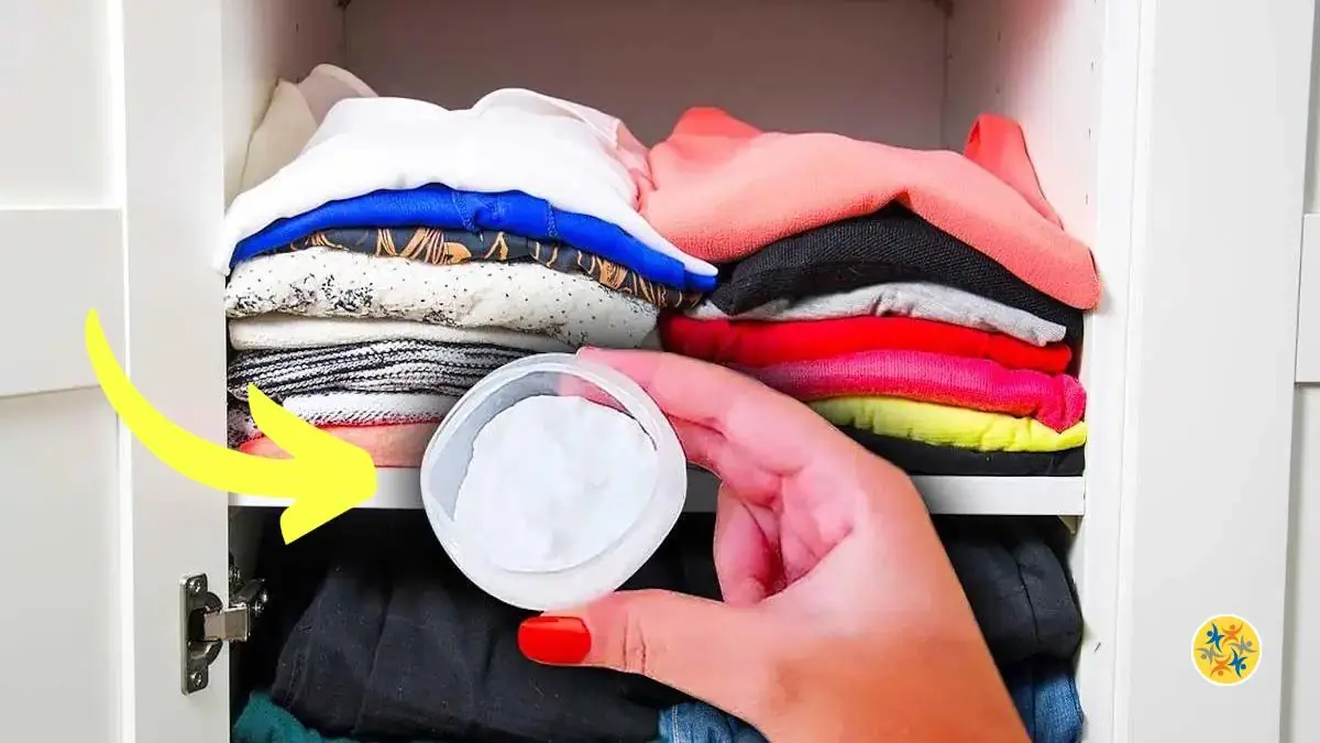 Mon Placard sent Bon et Frais grâce à ces Astuces