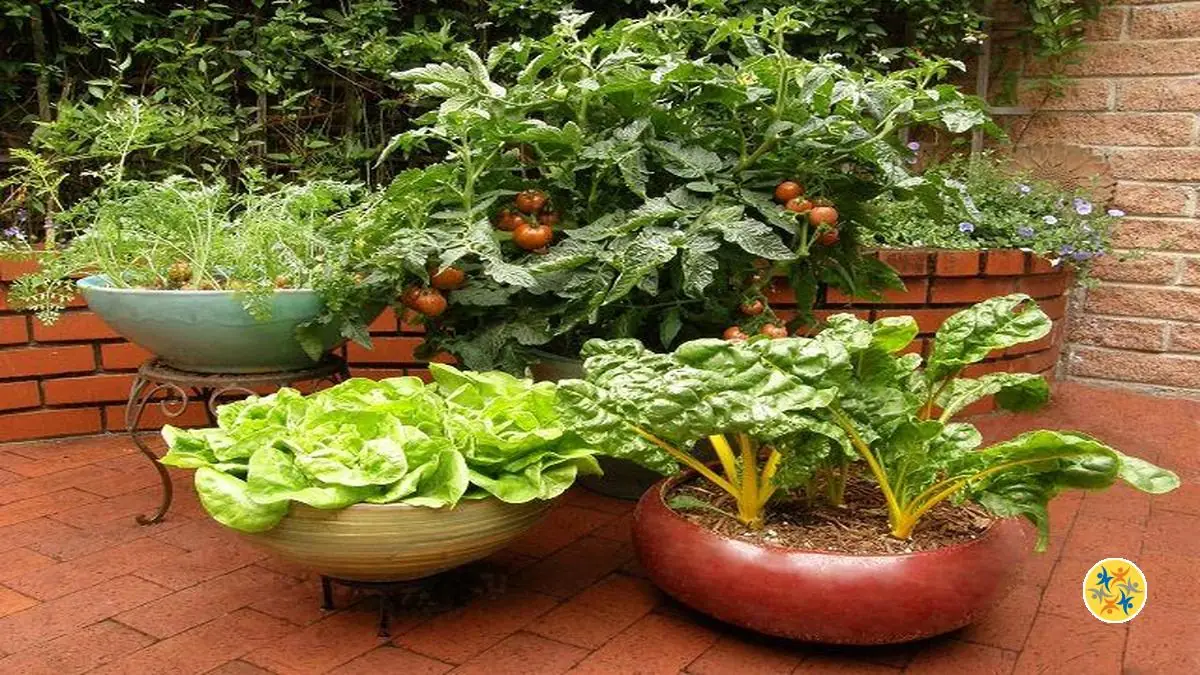 4 Astuces Pour un Potager plus Beau et plus Riche 4 Astuces Pour un Potager plus Beau et plus Riche