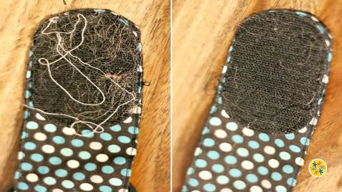 Scratch à Nettoyer avec 3 Objets pour Mieux Fonctionner