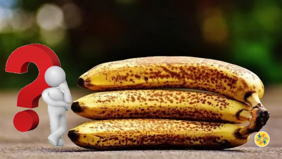 Les Bananes Noircies et 3 Informations Globales les Concernant