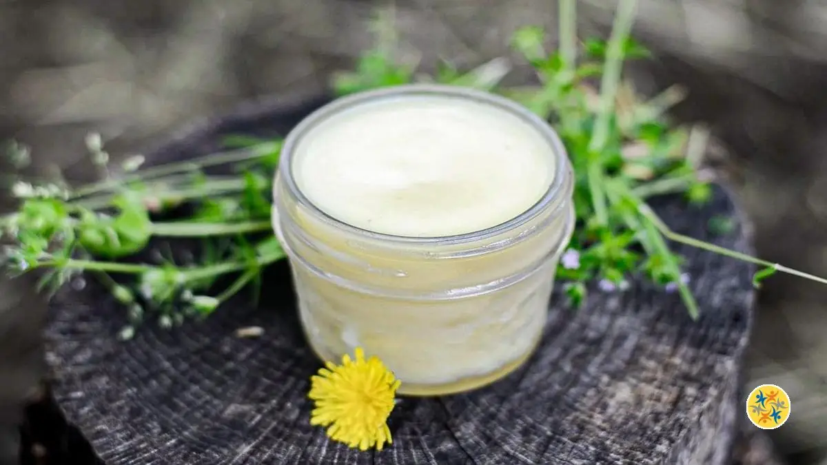 4 Ressources pour un Baume Naturel Fait Maison