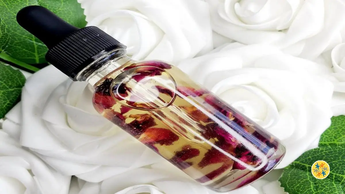 Profitez de l'Huile de Rose en 6 Bienfaits sur la Peau
