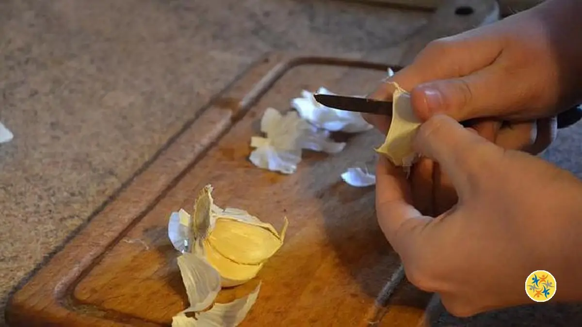 Conservez l’Ail Plus Longtemps Grâce à Ces 5 Conseils