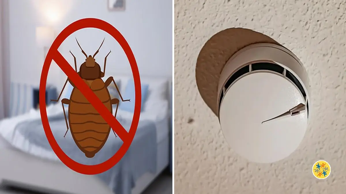 Assurez un Séjour à la Chambre d’Hôtel en Pleine Sécurité et Intimité ...