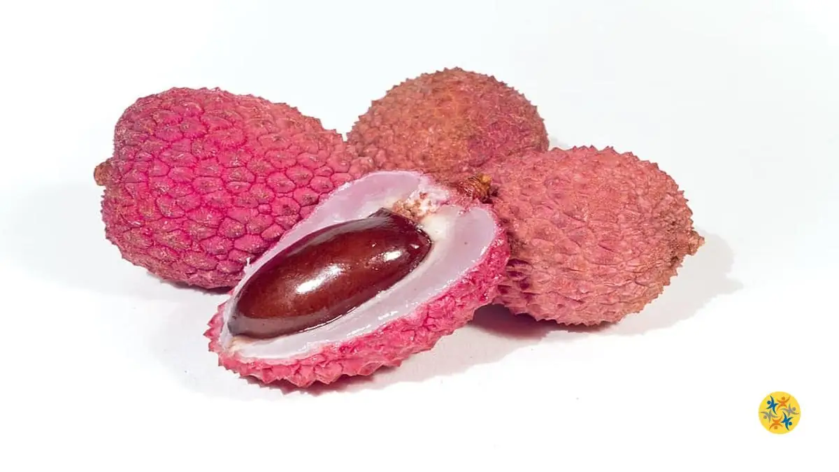 2 Conseils pour Avoir de Bons Litchis toute l'Année