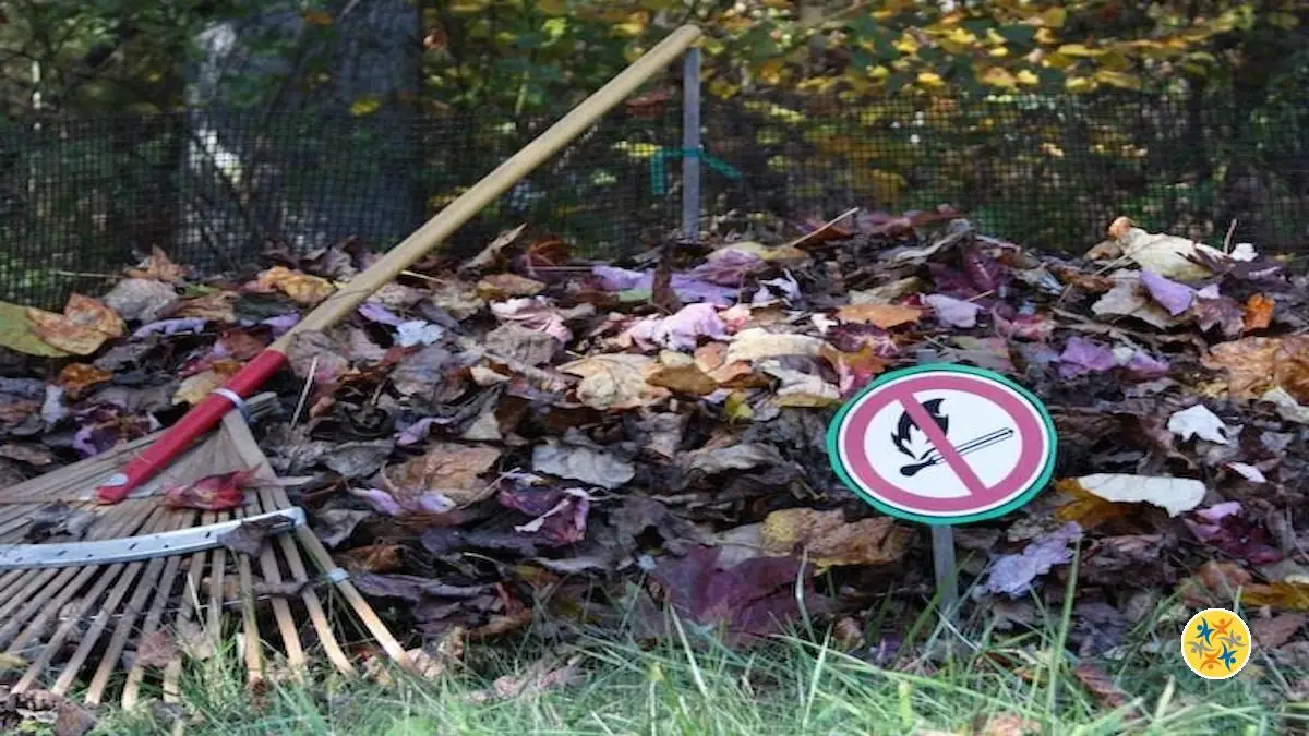 Pourquoi il ne Faut Jamais Brûler les Feuilles Mortes d'Automne