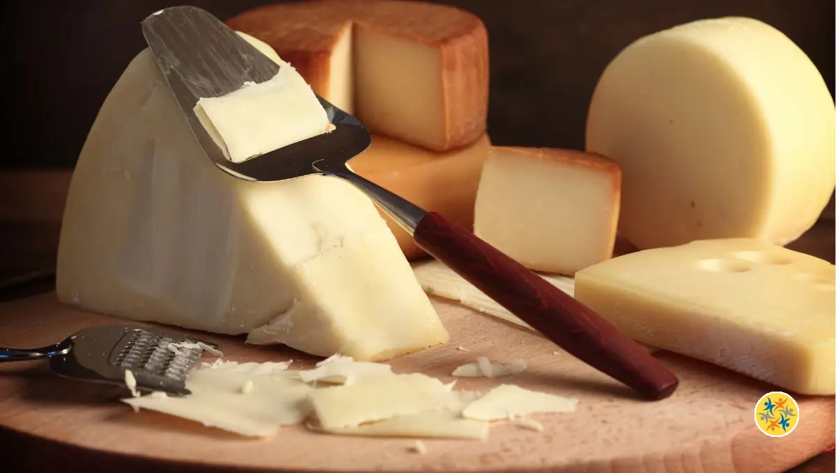 Astuces pour mieux conserver votre fromage Astuces pour mieux conserver votre fromage