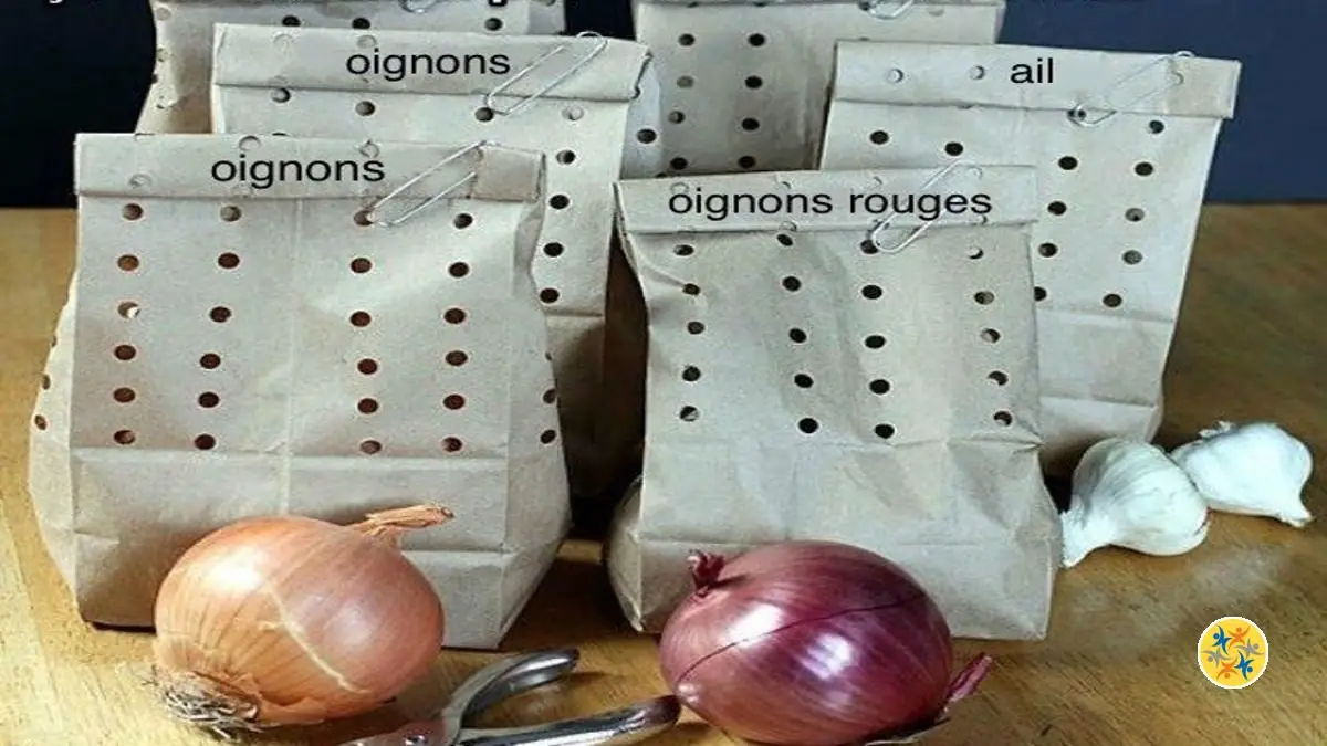 2 Conseils pour Conserver L'Ail le plus Longtemps Possible