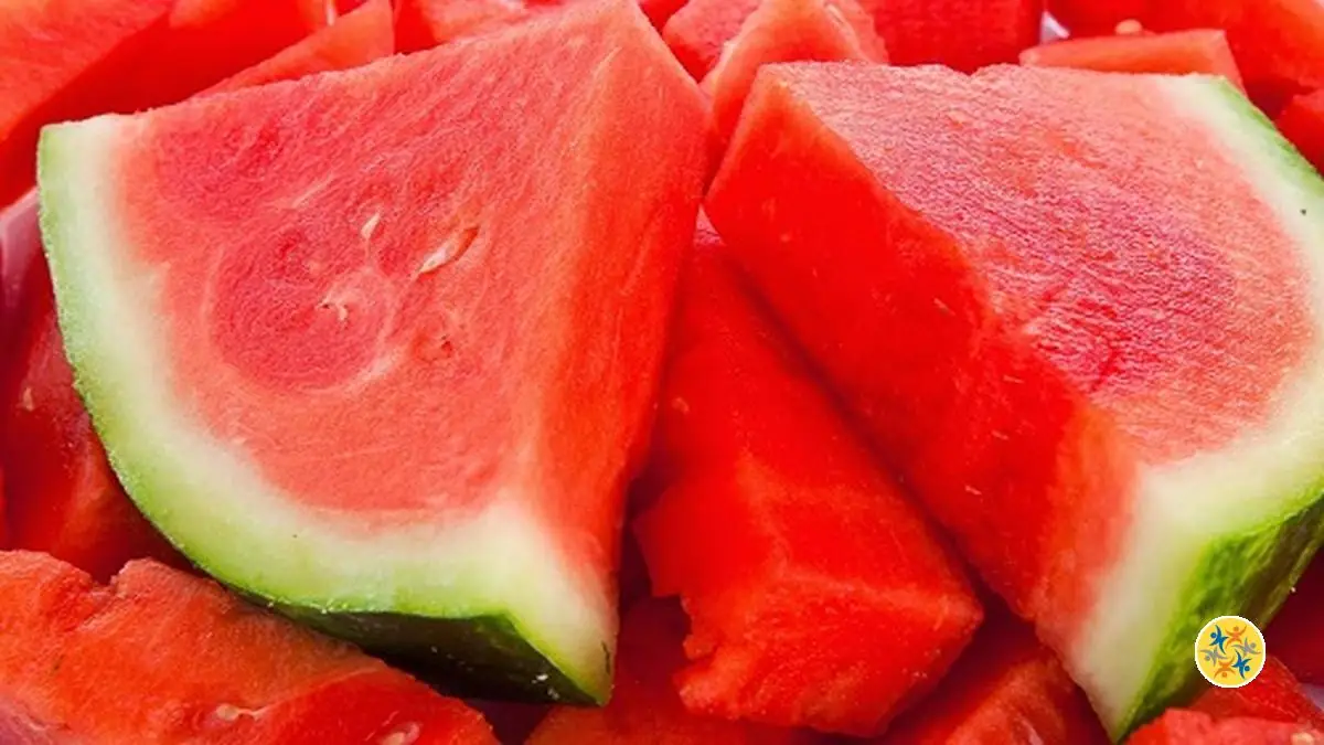 Reconnaitre la Pastèque Rouge Grâce à 5 Critères Importants