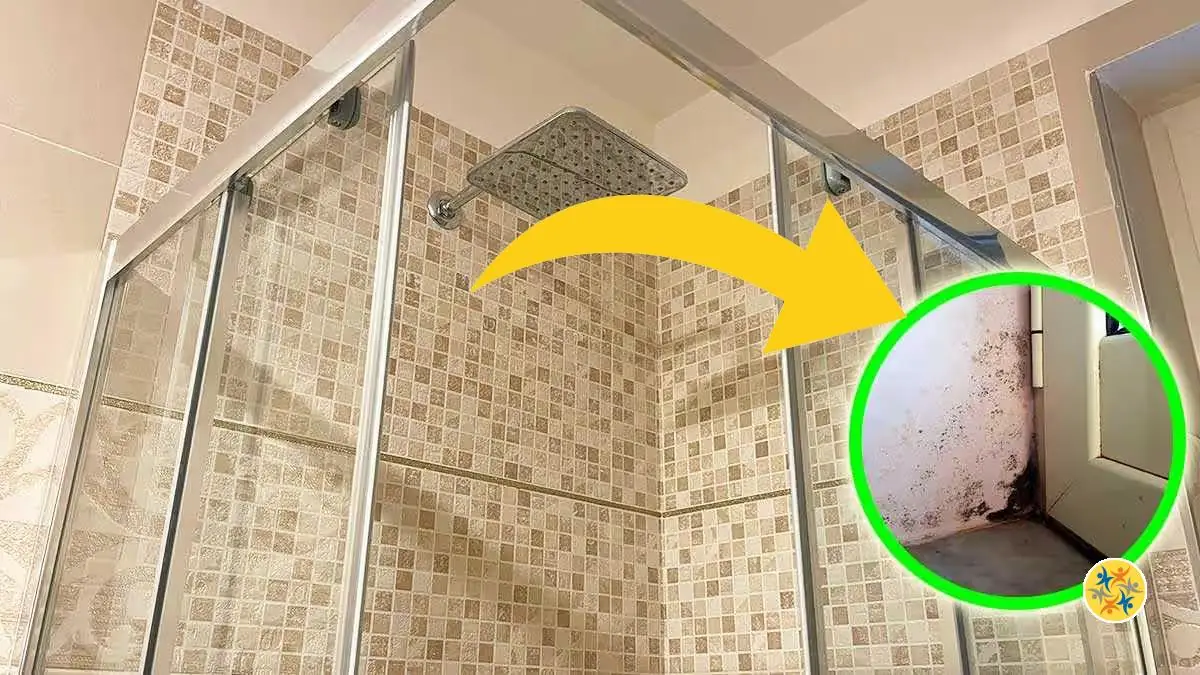 Pour une Douche Hygiénique 5 Solutions Inratables