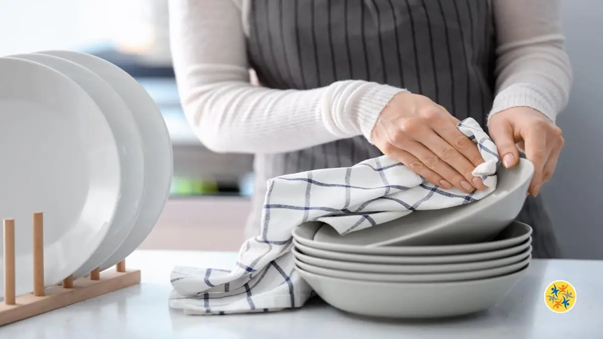 Pourquoi on ne devra plus Jamais Essuyer la Vaisselle avec des Torchons?