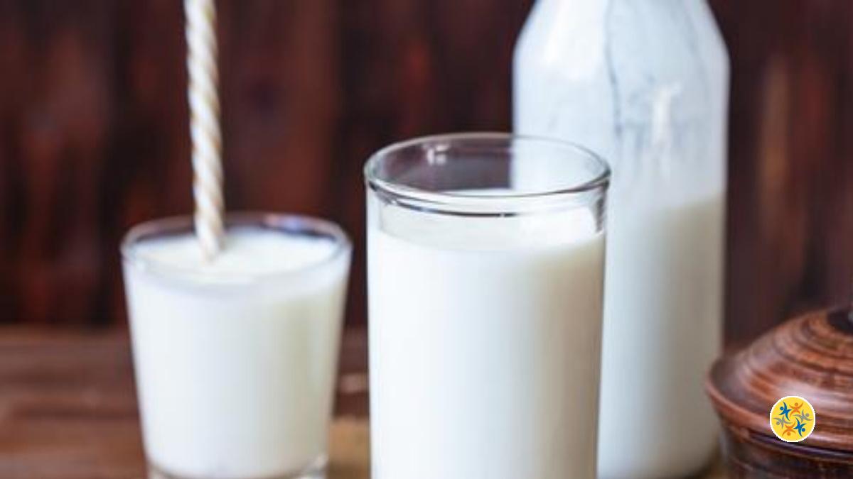 Comment Exploiter un Yaourt Périmé pour 3 Fins Différentes et Curieuses?