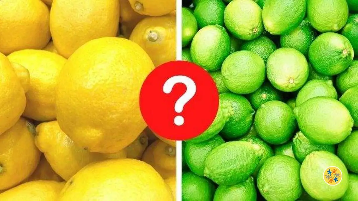 Comment Faire la Différence entre les Citrons selon 3 Critères