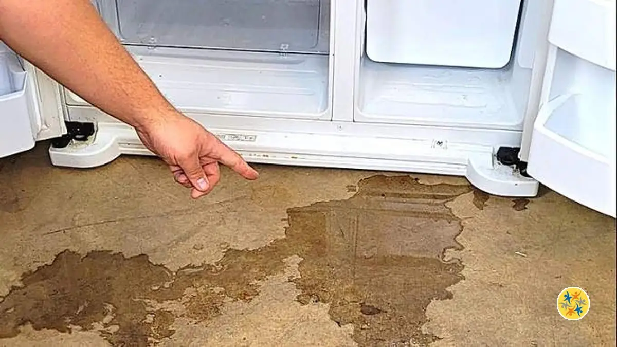 3 Causes Fréquentes de Fuites d'Eau dans le Frigo et Comment les Résoudre