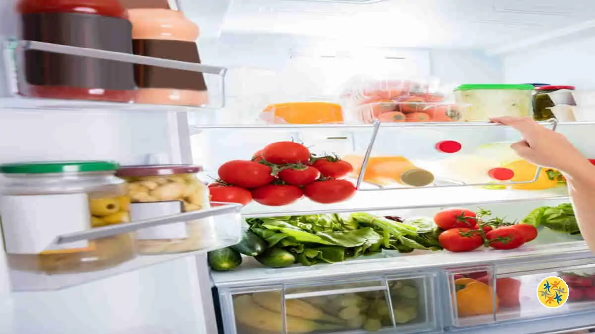 Guide Détaillé de Conservation des Aliments au Réfrigérateur et Congélateur