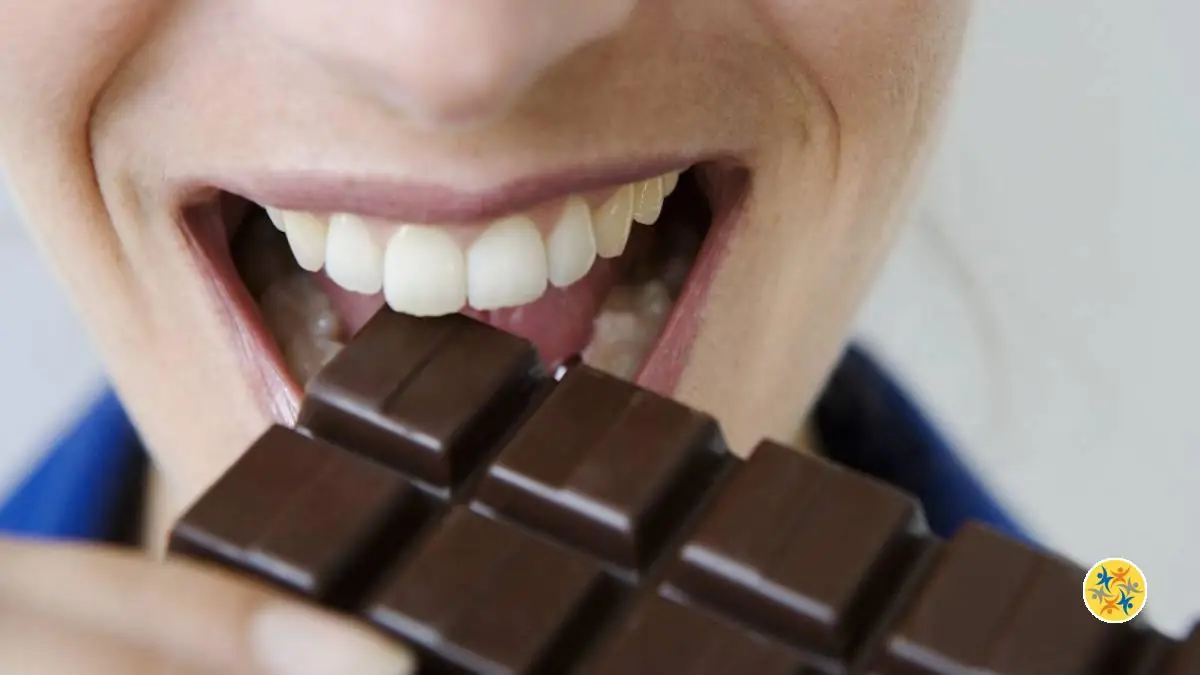 Comment je Deviens Intelligent en Mangeant du Chocolat