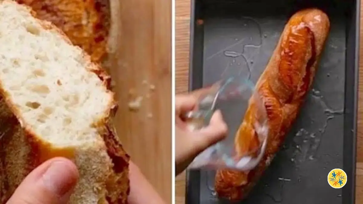 Manger Rapidement et Gagner du Temps en Cuisine