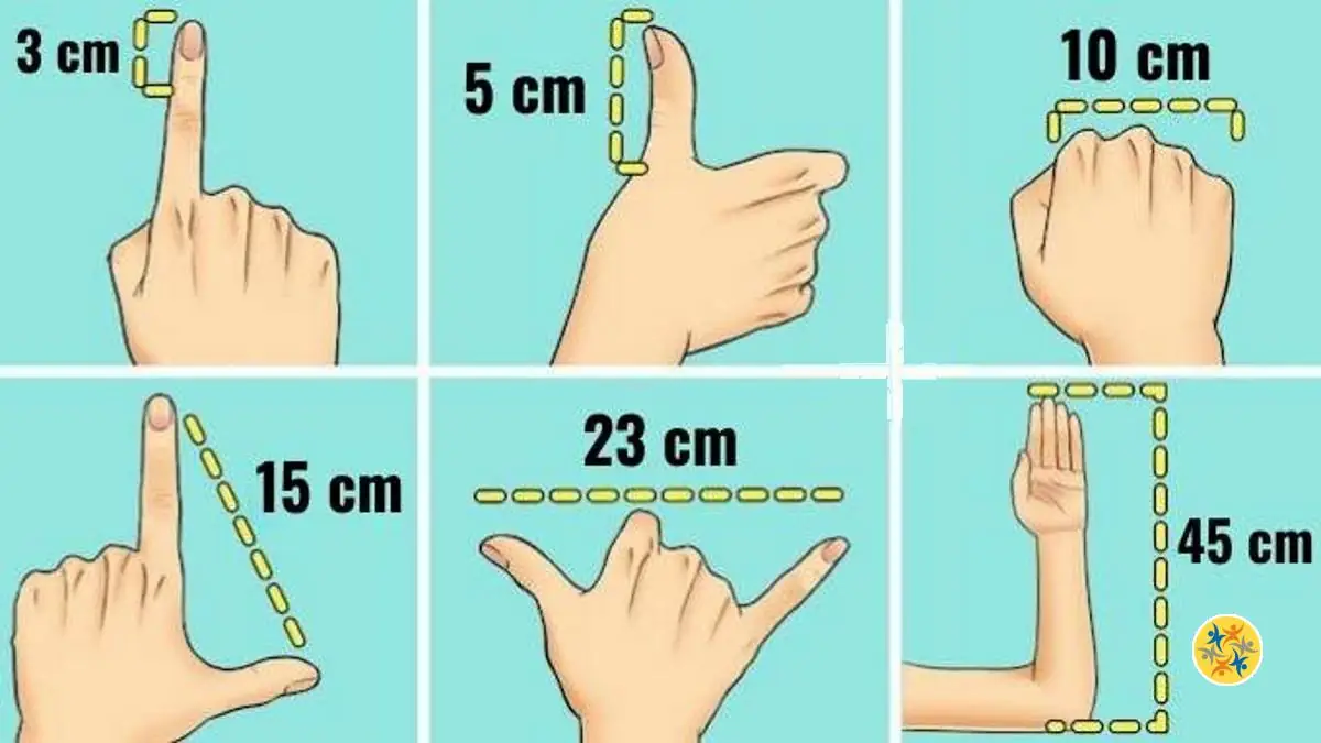 4 Méthodes pour Mesurer les Objets sans Utiliser un Mètre