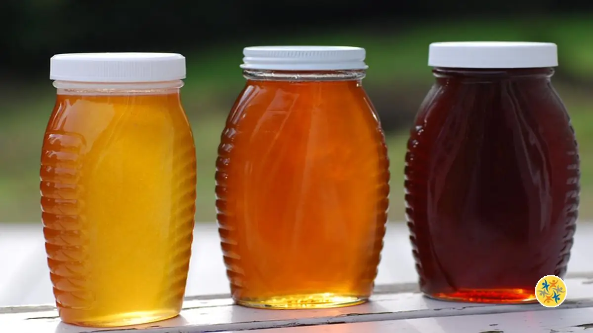 Comment Vérifier la Pureté du Miel : Guide Complet