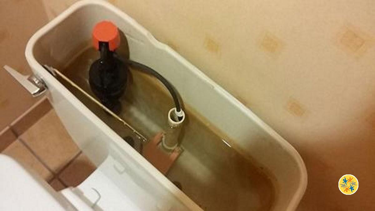 Lastuce Pour Nettoyer Le Réservoir De Chasse De Toilette Efficacement