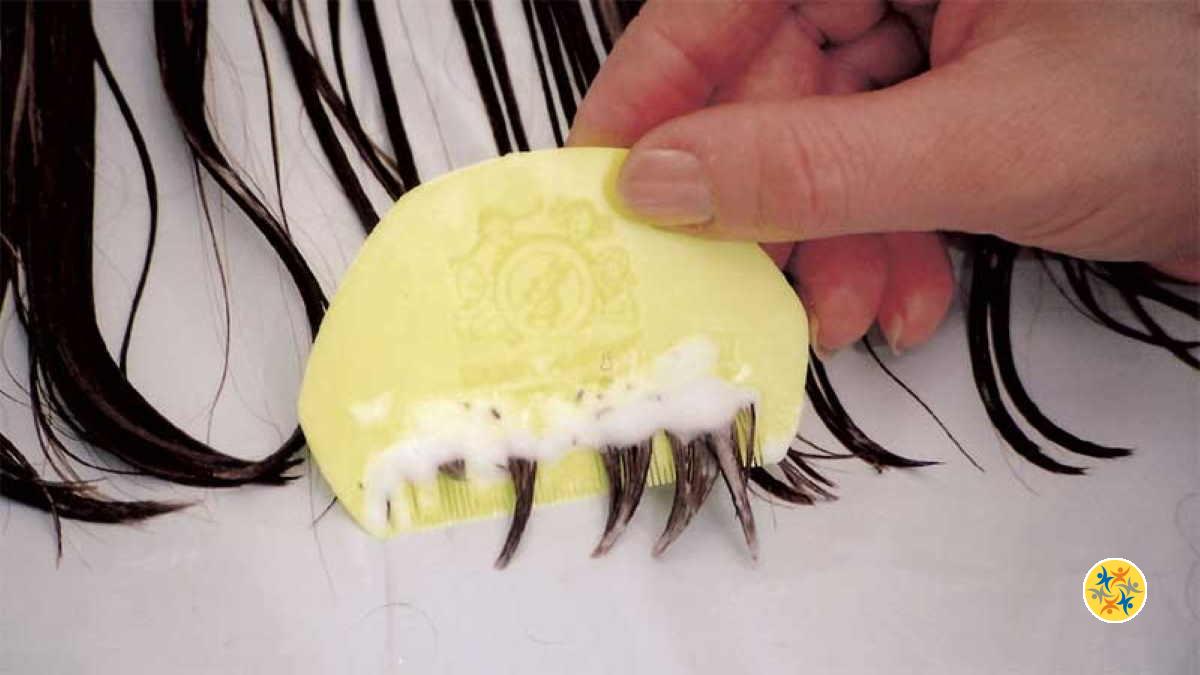 Eliminer les Poux et les Lentes par 8 Remèdes Naturels