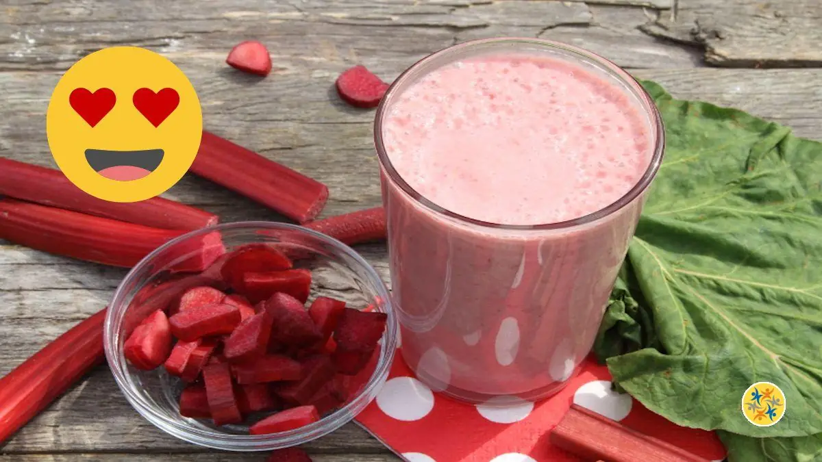 La Boisson Fraîche et Estivale par Excellence à base de Rhubarbe