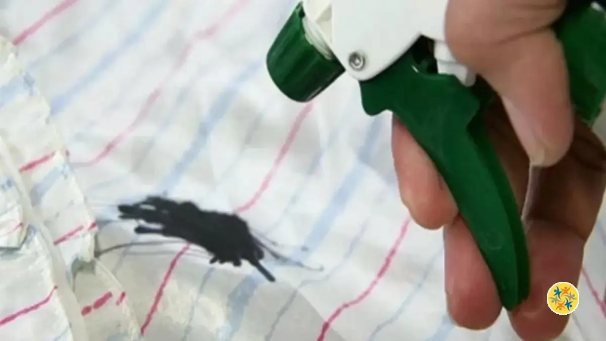 5 Produits pour Détacher le Linge Naturels, Economiques et Très Efficaces