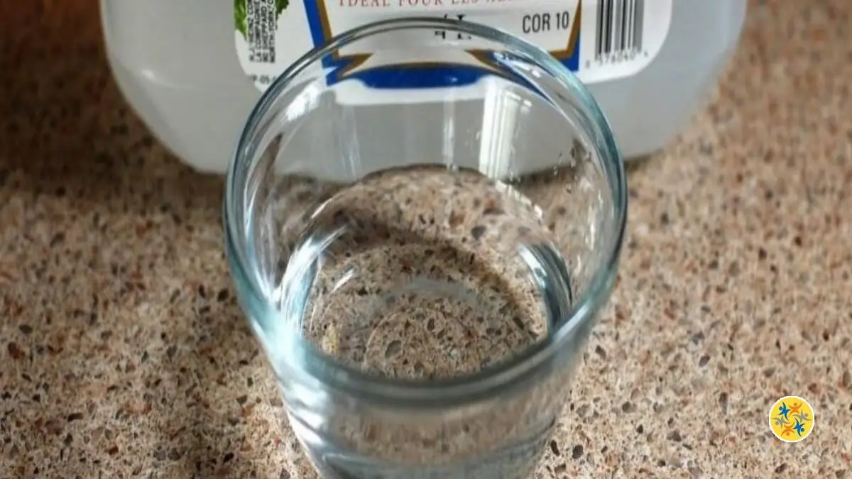 Optez pour ces 5 Produits Naturels pour Dégraisser votre Four