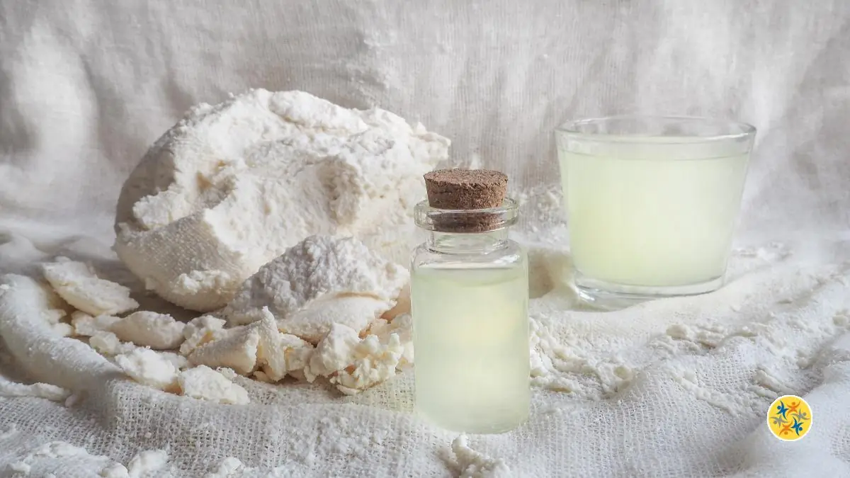 Faites du Lactosérum à La Maison Avec une Méthode Facile et Rapide