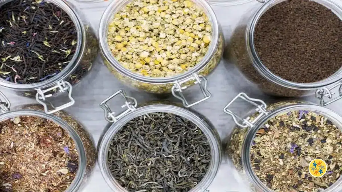 Apprenez à Concocter une Bonne Tisane Maison