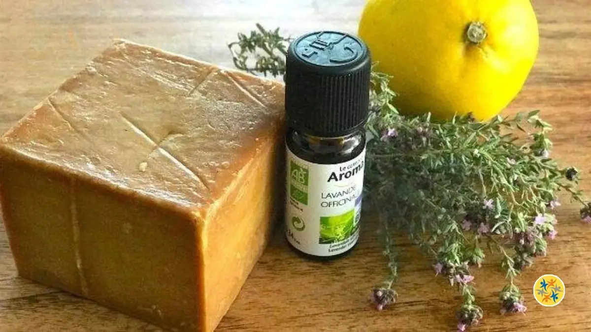 5 Recettes Faciles Et Rapides Pour Faire Du Savon à La Maison