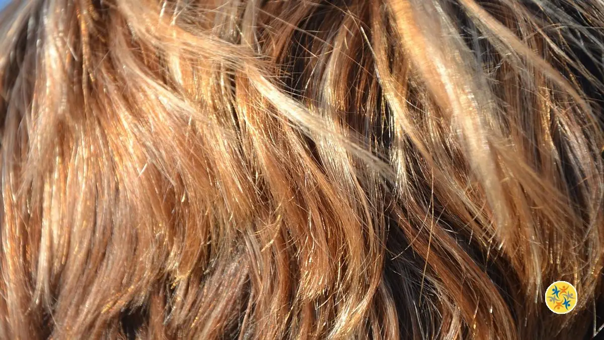 Fini les Pointes Fourchues avec ces Remèdes Naturels