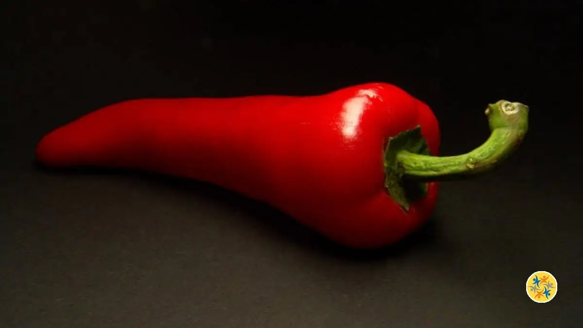 Se Faire Brûler par un Piment Piquant: Comment y Remédier?