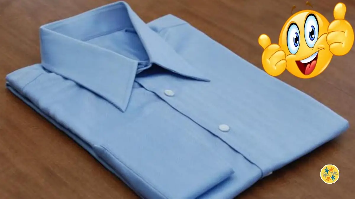 Repassez votre Linge sans Fer et Rapidement en appliquant 3 Gestes