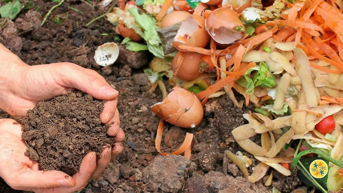 Créer Votre Compost Maison en 5 Étapes Faciles et Efficaces