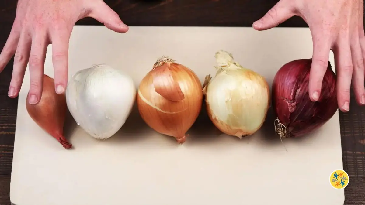 5 Types D’Oignons à Connaître et Bien Cuisiner