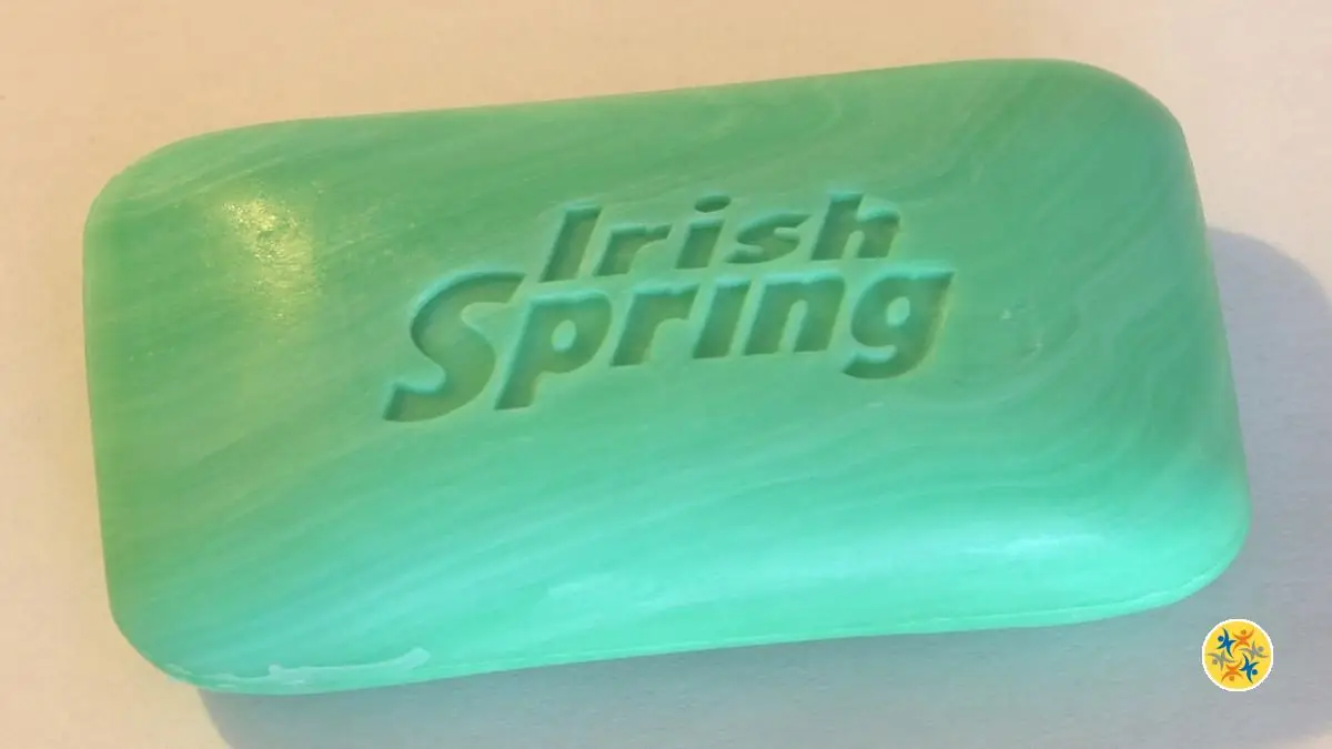 Repousser les Mouches avec un Simple Bloc de Savon