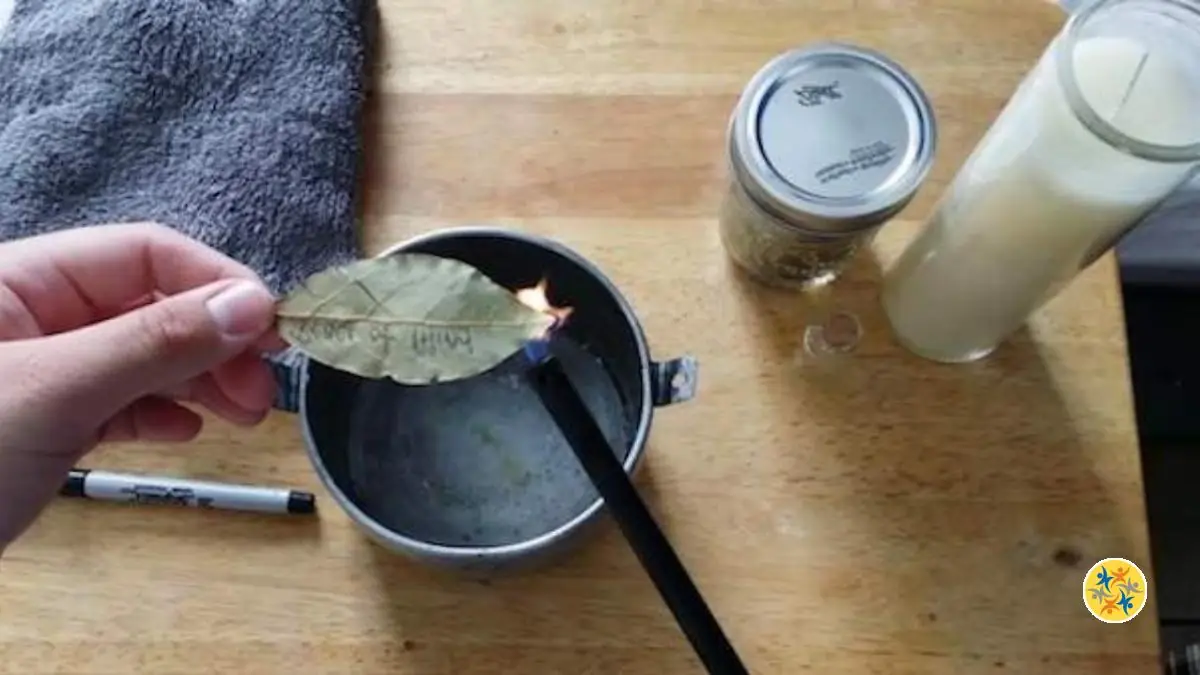 Le Truc de Bruler des Feuilles de Laurier et ses Effets Après 10 Minutes
