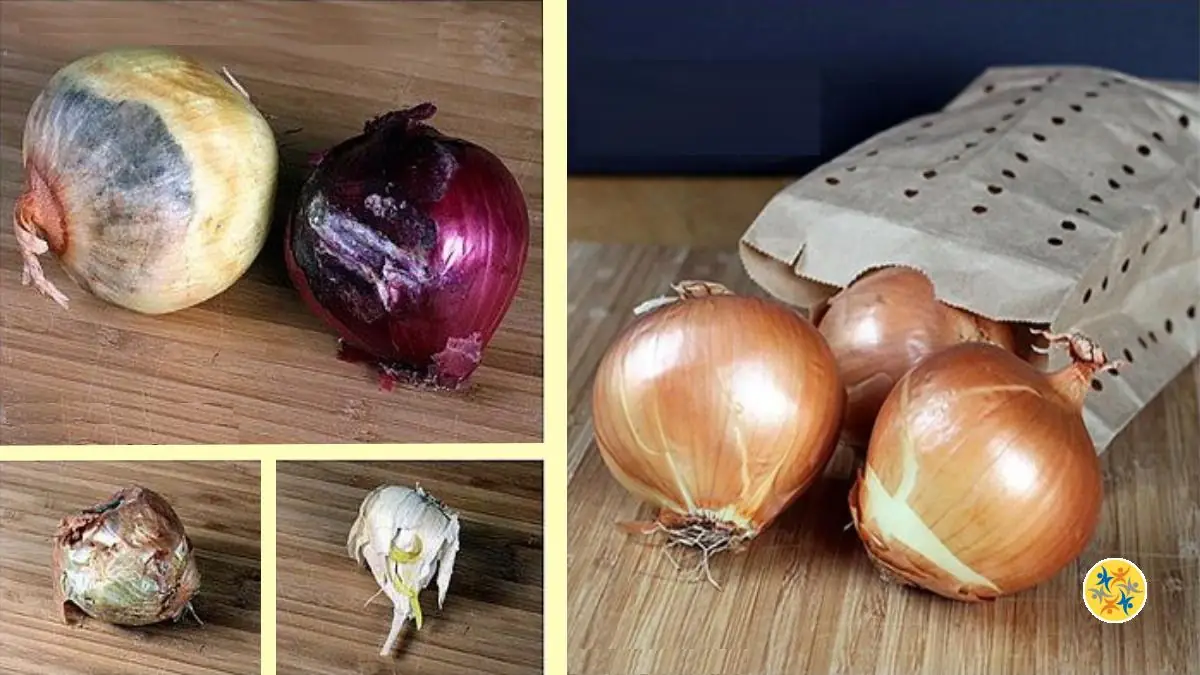 L’Astuce Pour Conserver les Oignons et l’Ail Pour Durer Longtemps