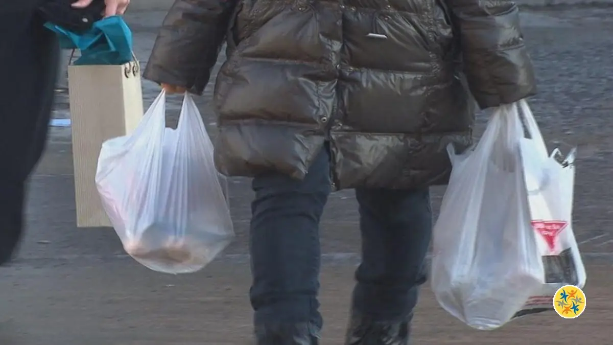 Le Truc Pour Porter les Sacs de Courses Sans se Couper les Doigts Avec ...