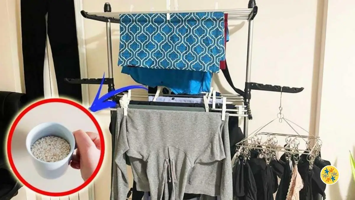 5 Trucs Pour Faire Sécher les Vêtements à la Maison