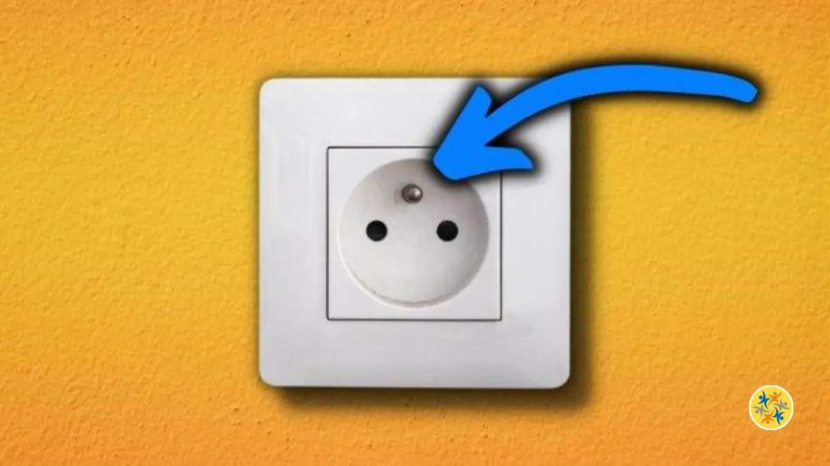 2 Types de Prises Électriques et l'Intérêt de celles Liées à Terre