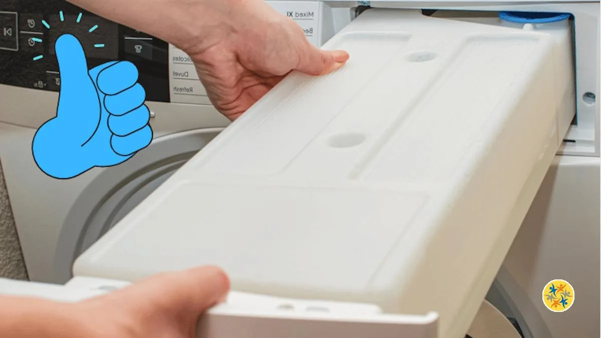 Seche Linge Qui Fuit