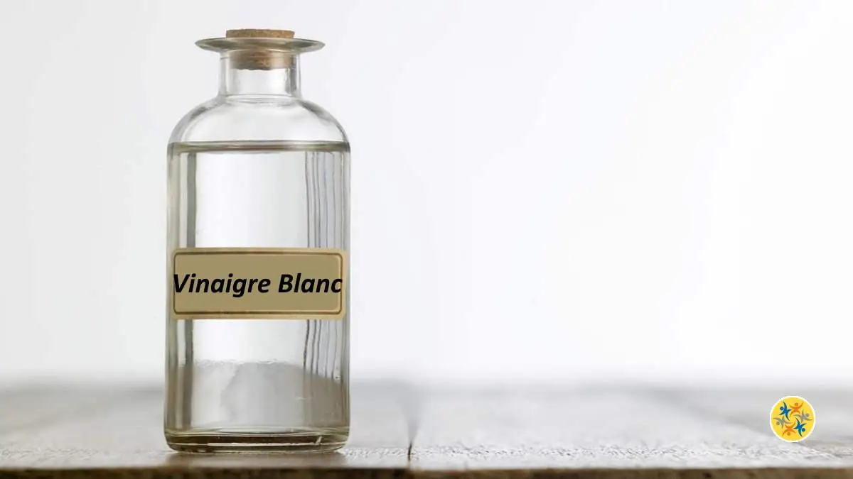 Le Vinaigre Blanc : 5 Utilisations Economiques et Ecologiques